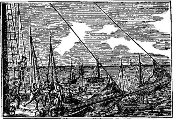 The Pirates Own Book - Captain Lewis